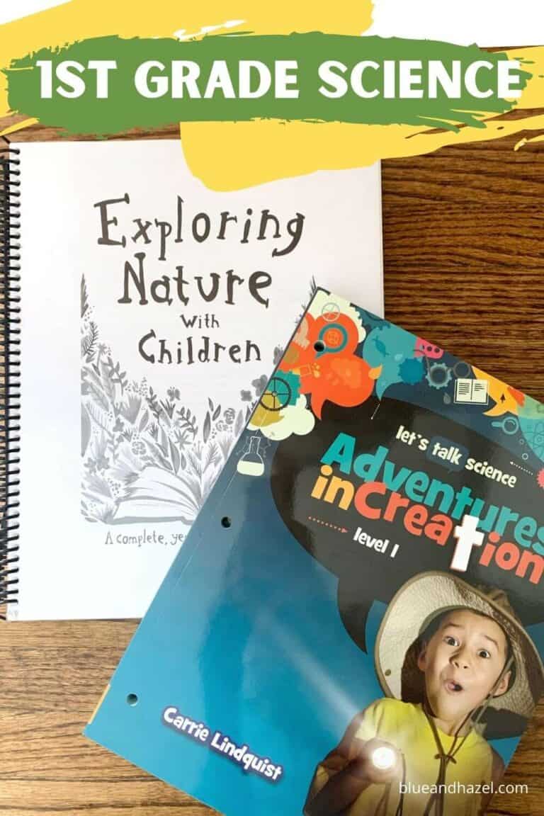 Kindergarten And 1st Grade Homeschool Curriculum 2020-2021 - Blue and Hazel