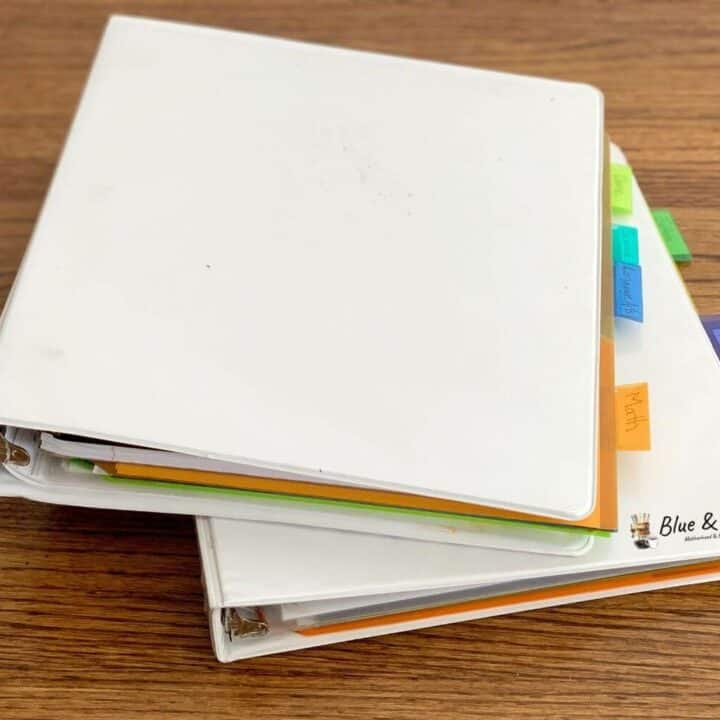 Blue and Hazel – Homeschool, Motherhood, and Lifestyle