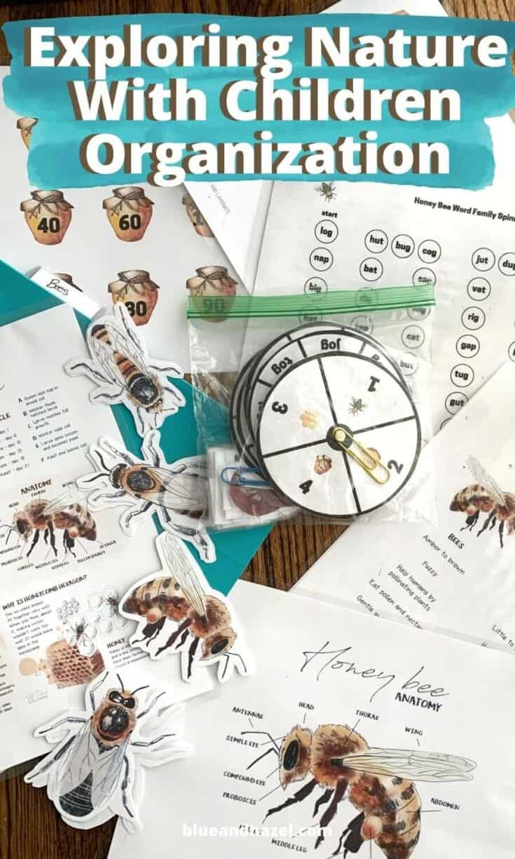 How To Organize All Your Nature Study Printables - Blue and Hazel