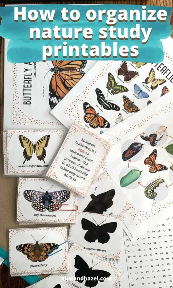 How To Organize All Your Nature Study Printables - Blue and Hazel