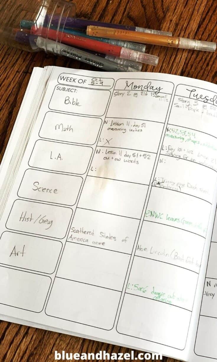 How To Record Homeschool Activities You Actually Do - Blue and Hazel