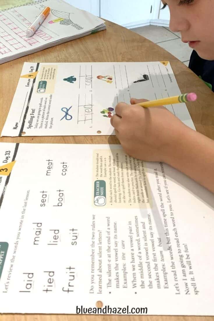Language Lessons For A Living Education Level 1 - Blue and Hazel