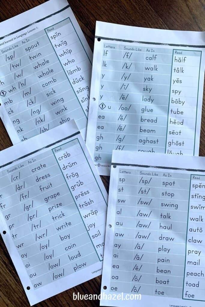 Language Lessons For A Living Education Level 1 - Blue and Hazel