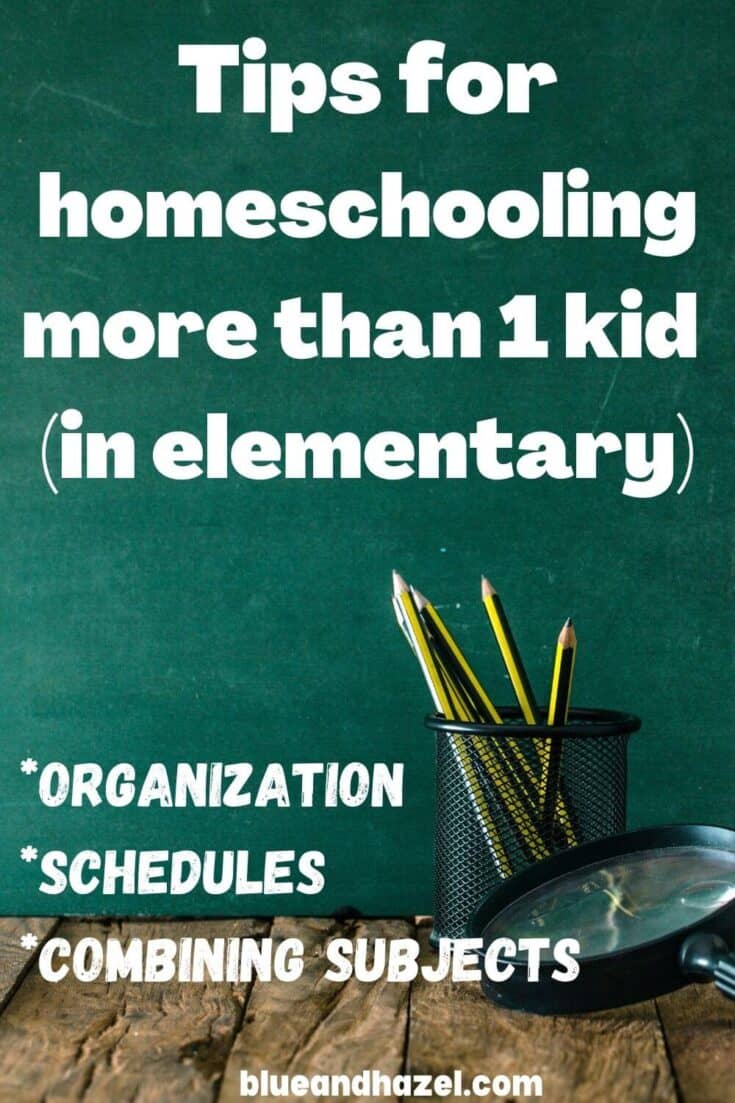 Homeschooling Multiple Grade Levels In Elementary - Blue and Hazel