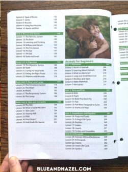 Homeschool Curriculum For 1st and 2nd Grade (2021-2022) – Blue and Hazel