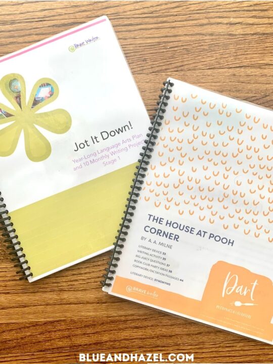 Homeschool Curriculum For 1st and 2nd Grade (2021-2022) - Blue and Hazel