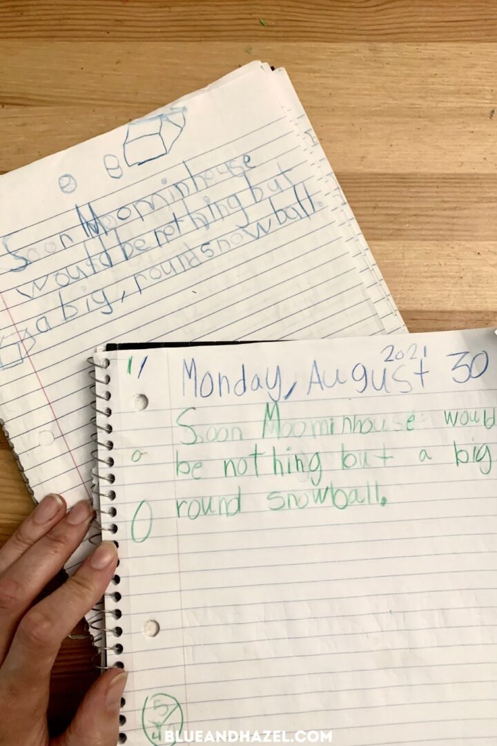 All You Need To Know About Brave Writer Darts And How To Use Them ...