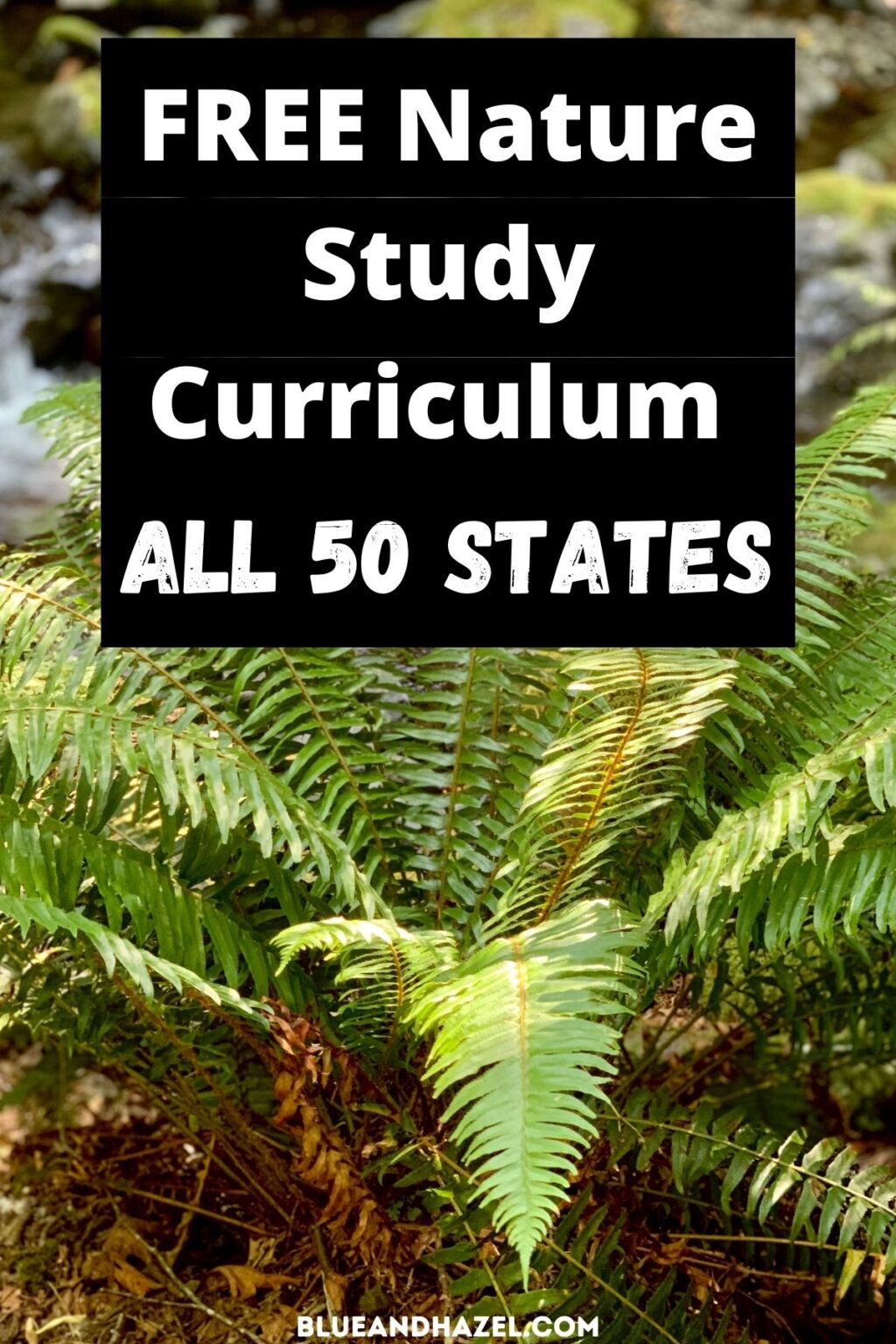 Mega List of FREE Nature Based Learning Activities For All 50 States ...