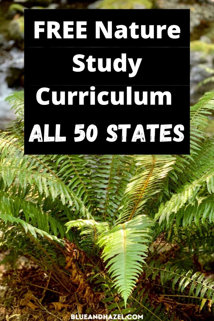 Mega List of FREE Nature Based Learning Activities For All 50 States ...