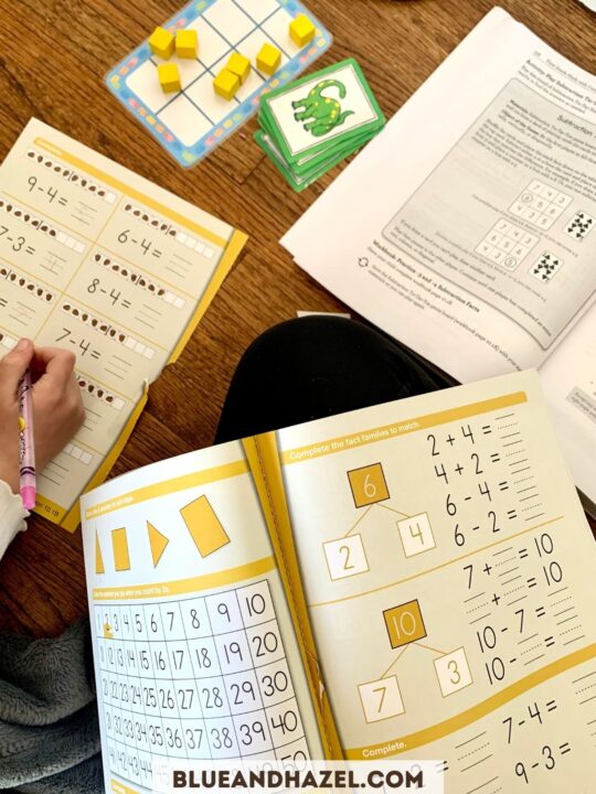 Mid Year Update for 1st And 2nd Grade Homeschool - Blue and Hazel