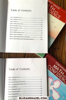 First Grade Math With Confidence Review - Blue and Hazel