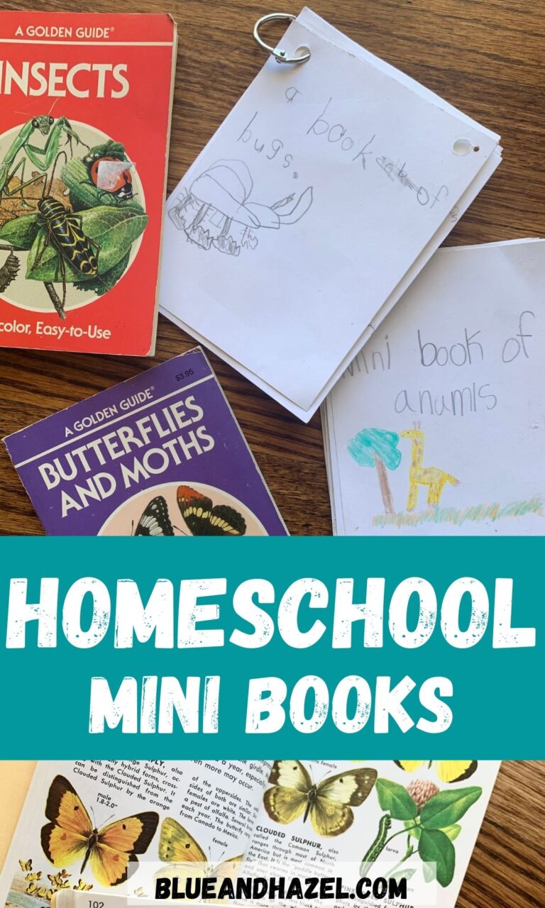 Creative Writing Ideas For 7 And 8 Year Olds - Blue and Hazel