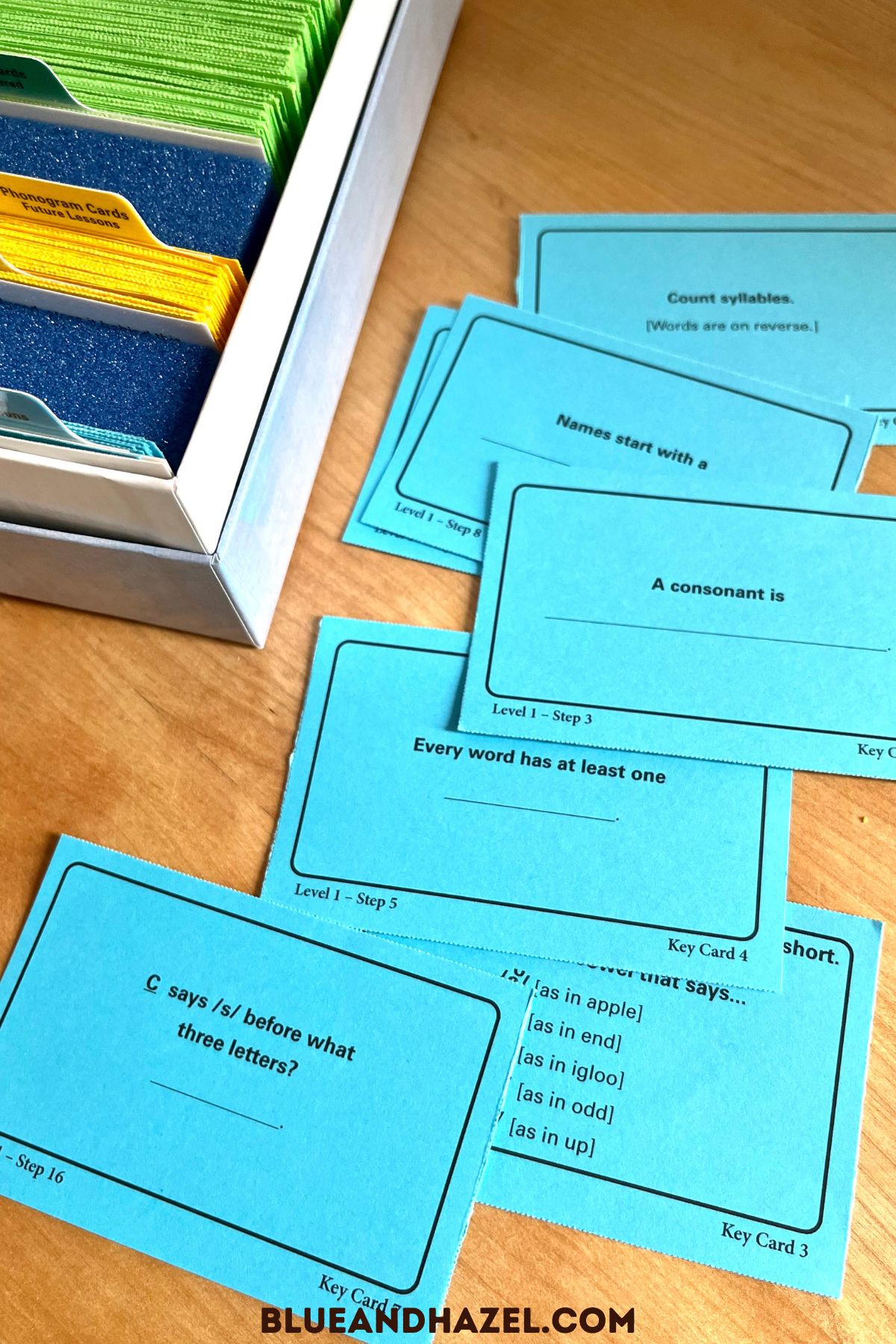 All About Spelling Level 1 Review With a 3rd Grader - Blue and Hazel