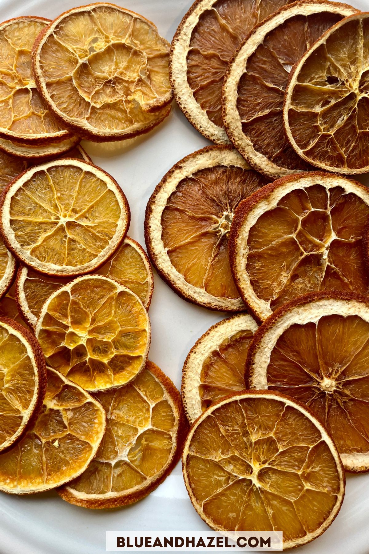 How To Dry Orange Slices In The Oven - Blue and Hazel