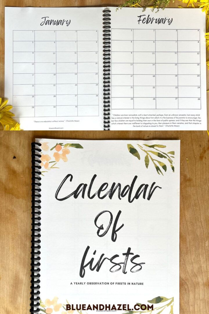 What Is a Calendar Of Firsts? - Blue and Hazel