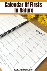 What Is a Calendar Of Firsts? - Blue and Hazel