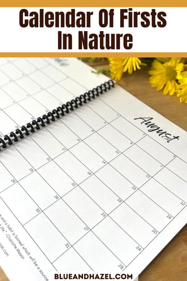 What Is a Calendar Of Firsts? - Blue and Hazel