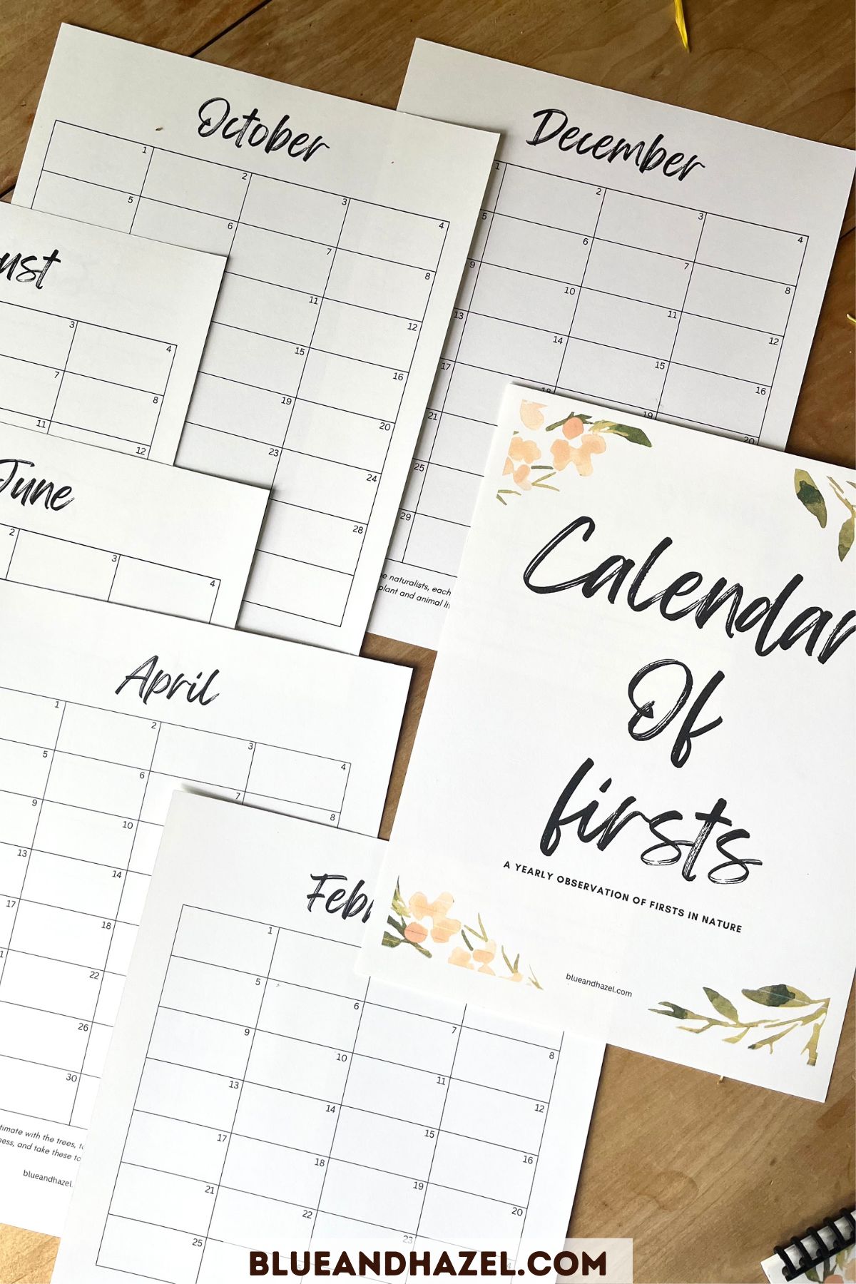 What Is a Calendar Of Firsts? - Blue and Hazel