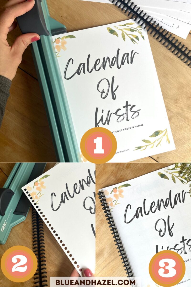 What Is a Calendar Of Firsts? - Blue and Hazel