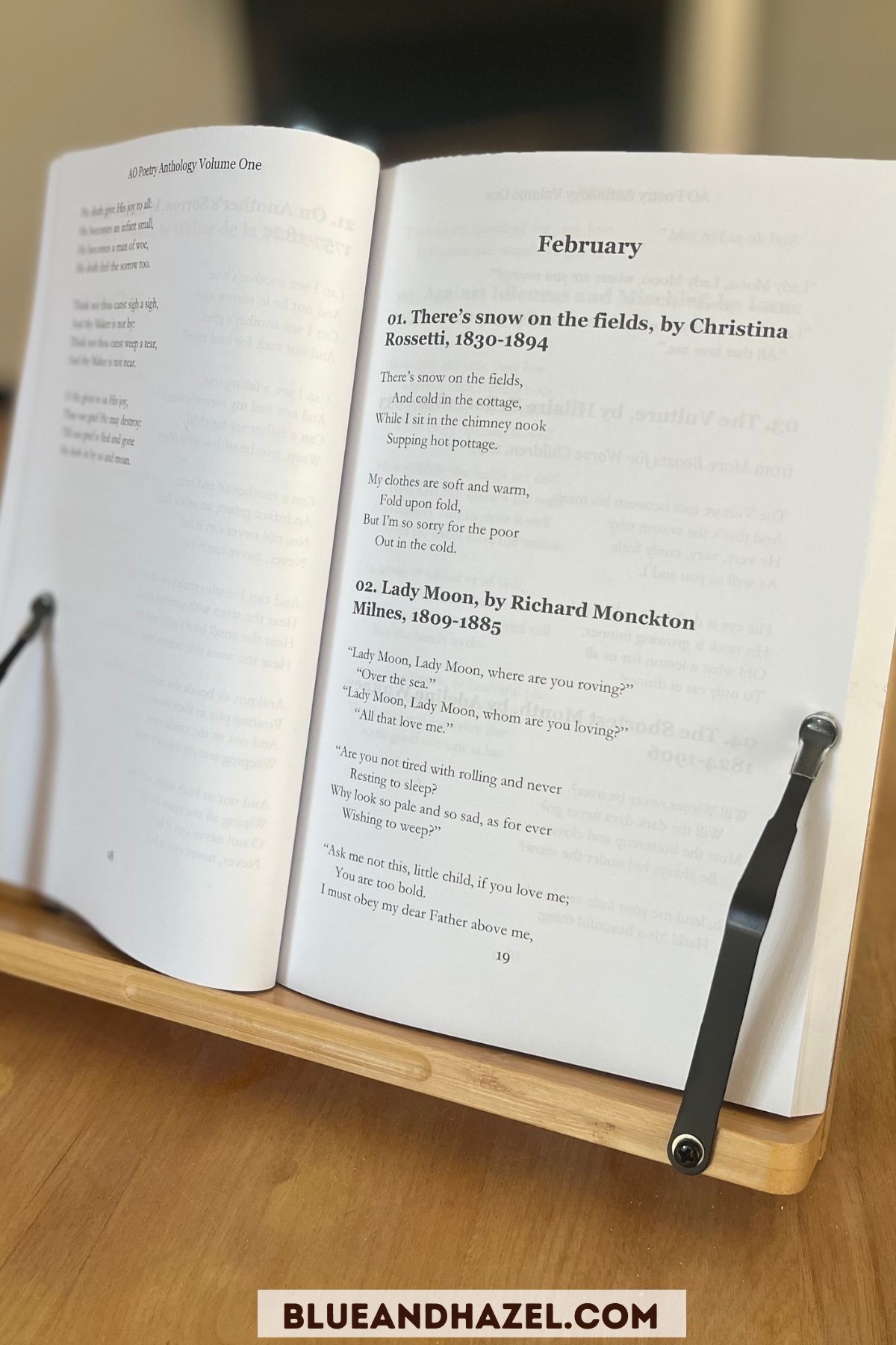 Getting Started With Ambleside Online: Our 1st Year With 3 Kids - Blue ...