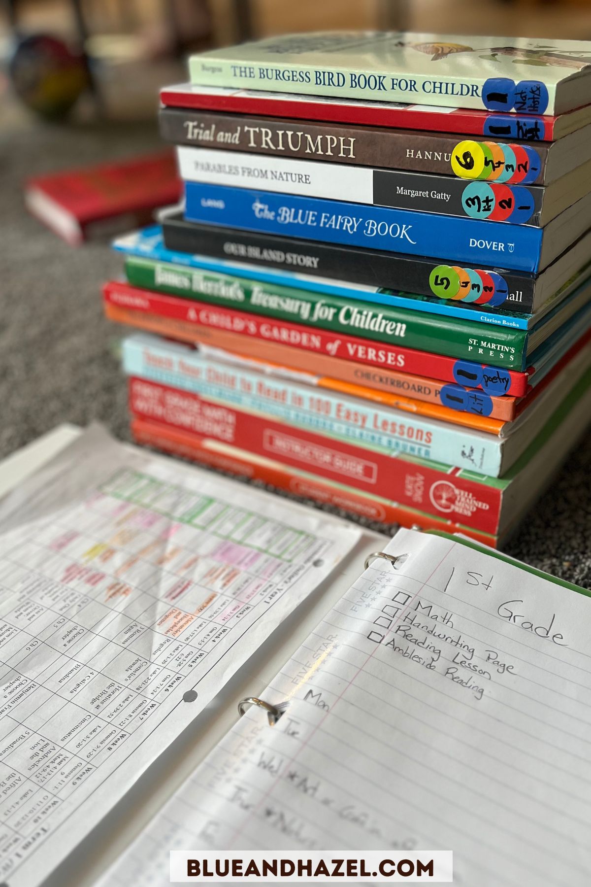 1st Grade Homeschool Schedule - Blue and Hazel